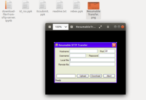 How To Download Files From SFTP Server In Python