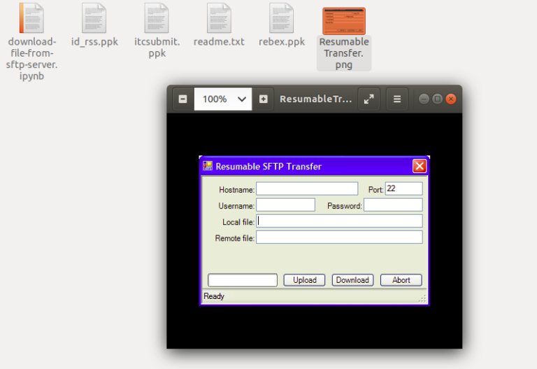 How To Download Files From SFTP Server In Python
